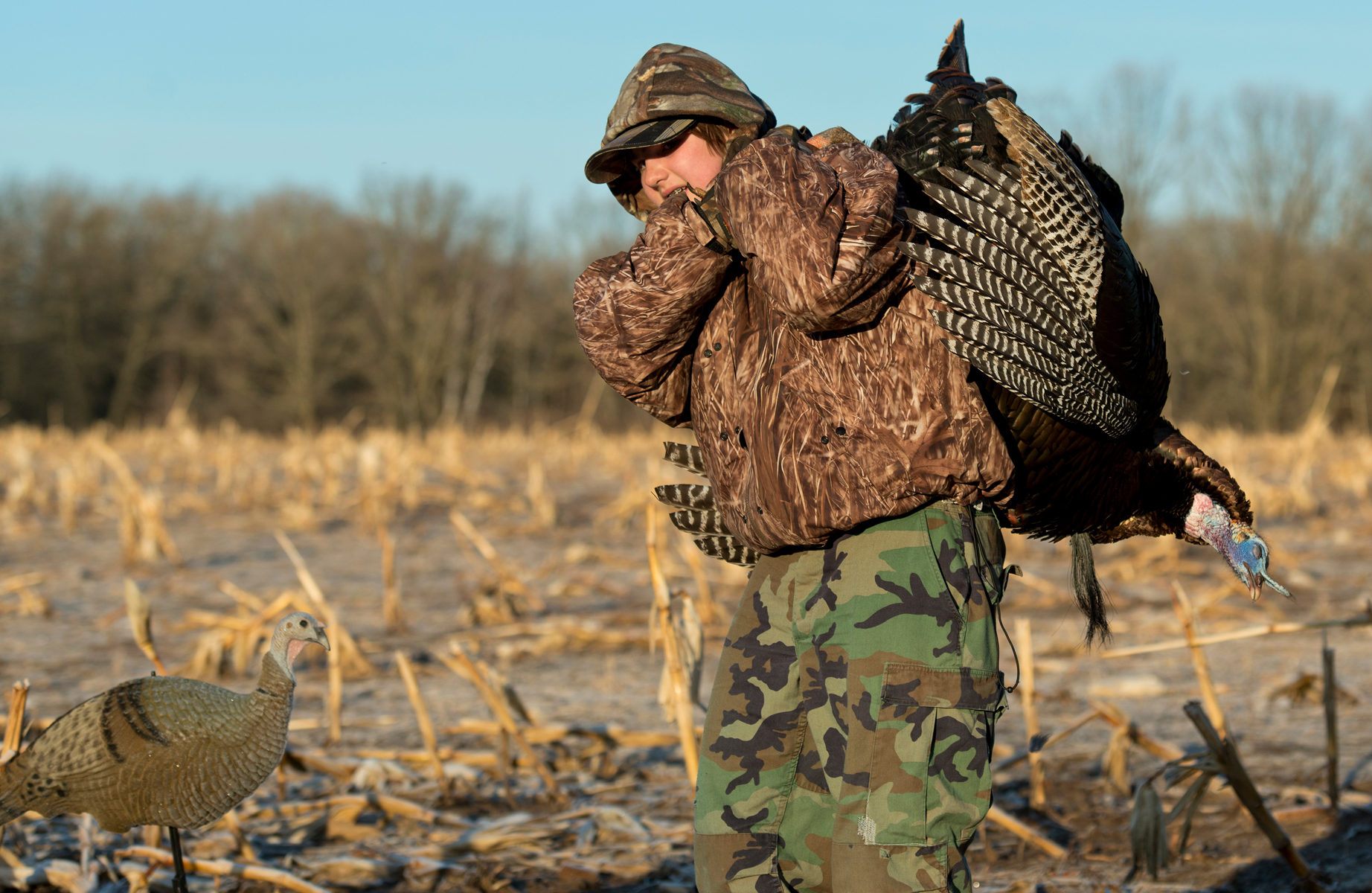 Hunting Turkeys – Mother Earth News